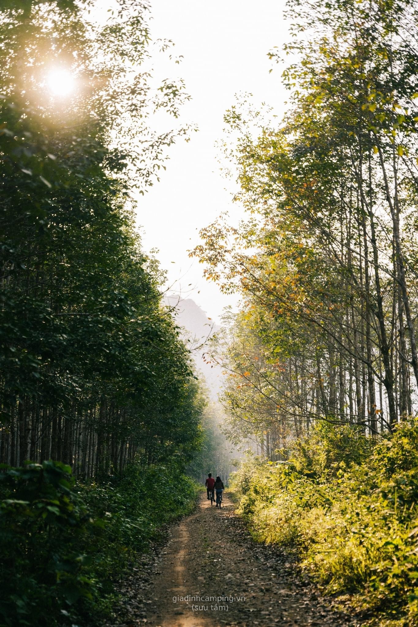 Blue Diamond Camp Quảng Bình - Gia Đình Camping