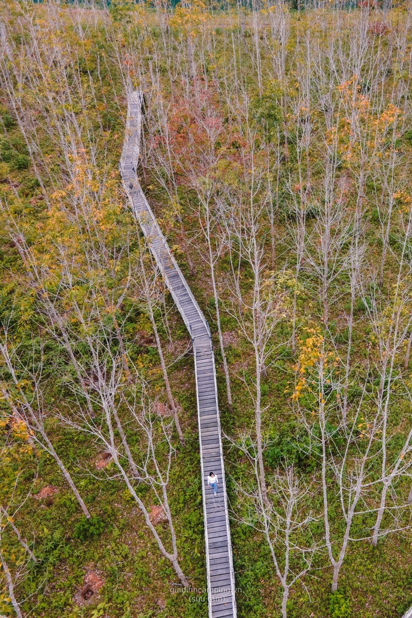 Blue Diamond Camp Quảng Bình - Gia Đình Camping